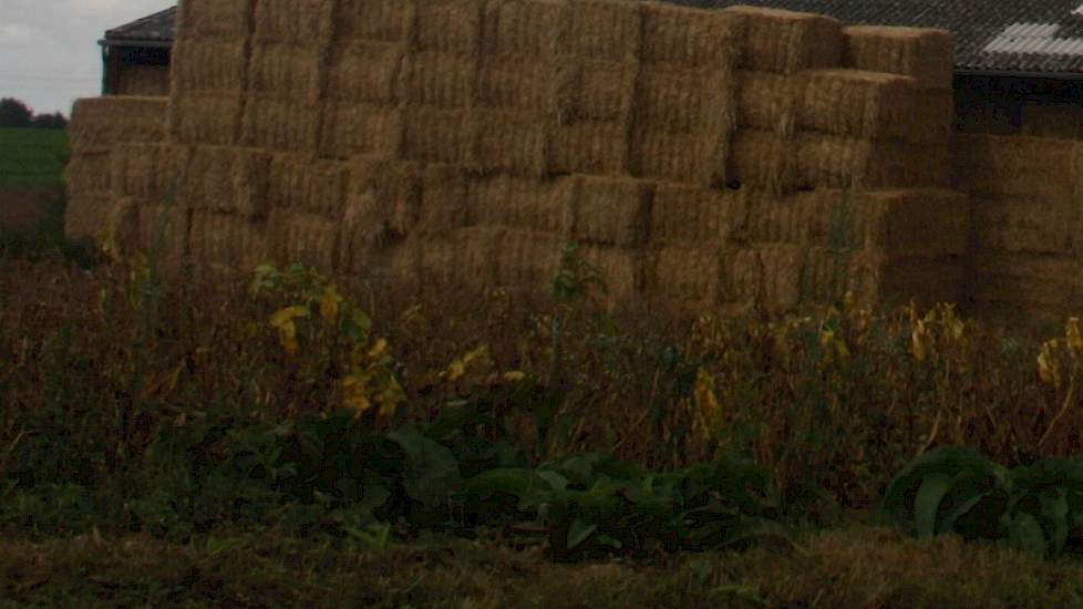 Boeren VS: handhaaf doelstelling biobrandstof | Akkerwijzer.nl - Nieuws ...