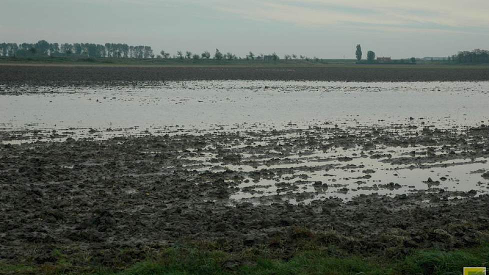 ‘Meer rekening houden met misoogst na extreme regenval’ | Akkerwijzer ...