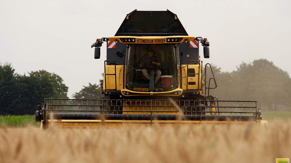 RVO: rustige activiteiten op tarwemarkt | Akkerwijzer.nl - Nieuws en ...