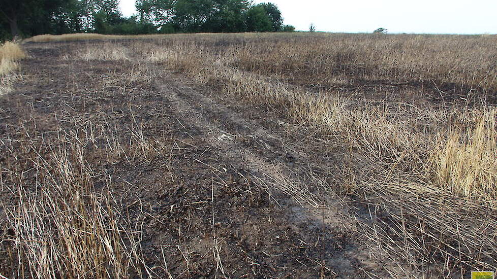 Fotoserie: Tarwe perceel in Sittard in vlammen opgegaan | Akkerwijzer ...