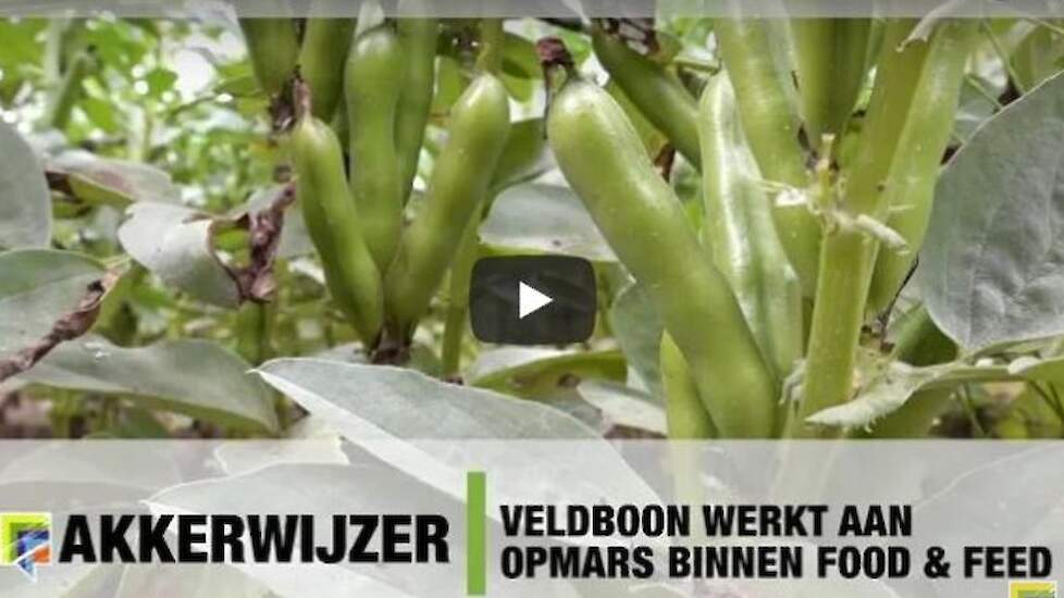Video: Veldboon werkt aan opmars binnen food & feed | Akkerwijzer.nl ...