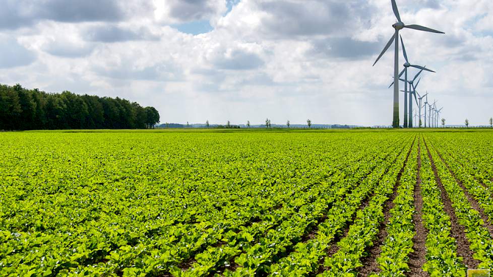 Column: De rijen sluiten | Akkerwijzer.nl - Nieuws en kennis voor de ...