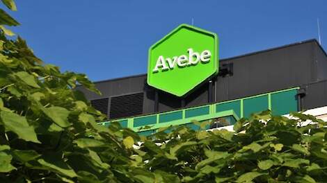 Campagneprijs Avebe voor oogst 2019 plust naar €76,50 per ton ...