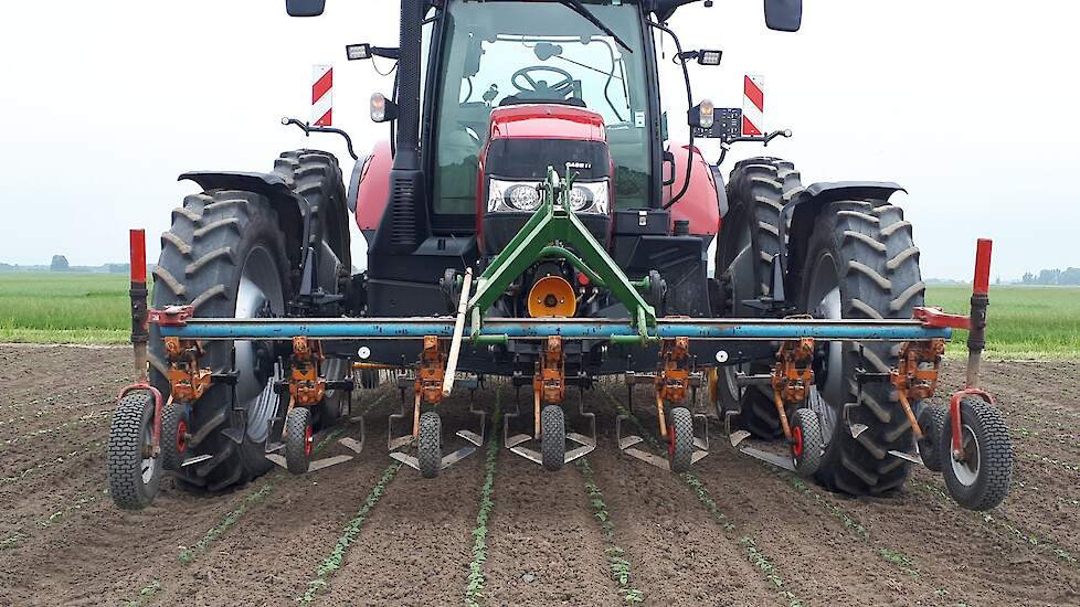 Richt biologische onkruidbestrijding op voorkomen handwerk ... Richt biologische onkruidbestrijding op voorkomen handwerk ...