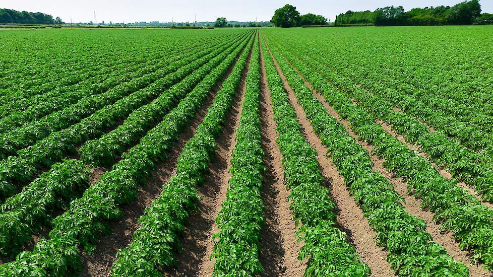 Corteva Agriscience › BlueN biedt groene aanvulling op ...