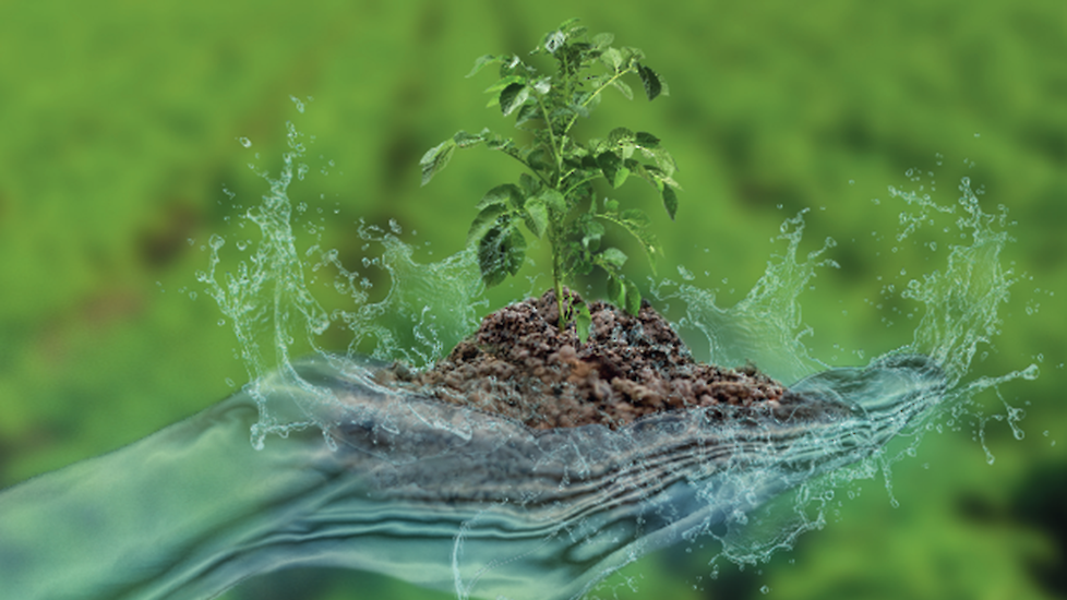 UPL › Met innovatief product ZEBA PRIME beter bodemvocht vasthouden in ...