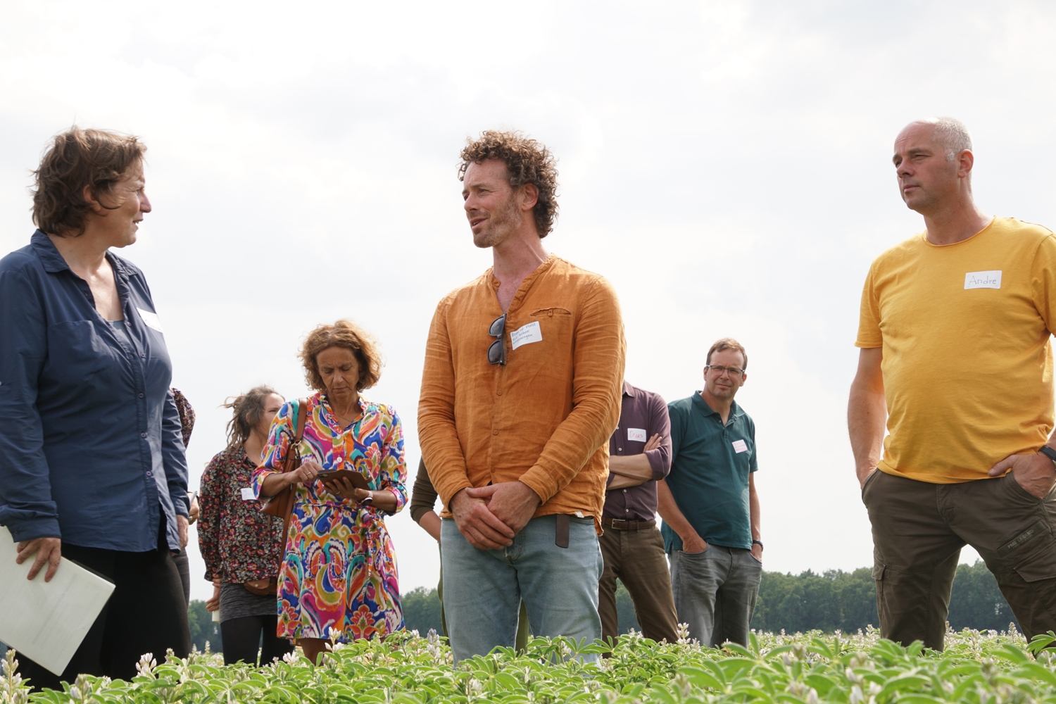 Topbodem › Fotoserie: Ketenbrede ontwikkeling nodig om lupine plek te ...