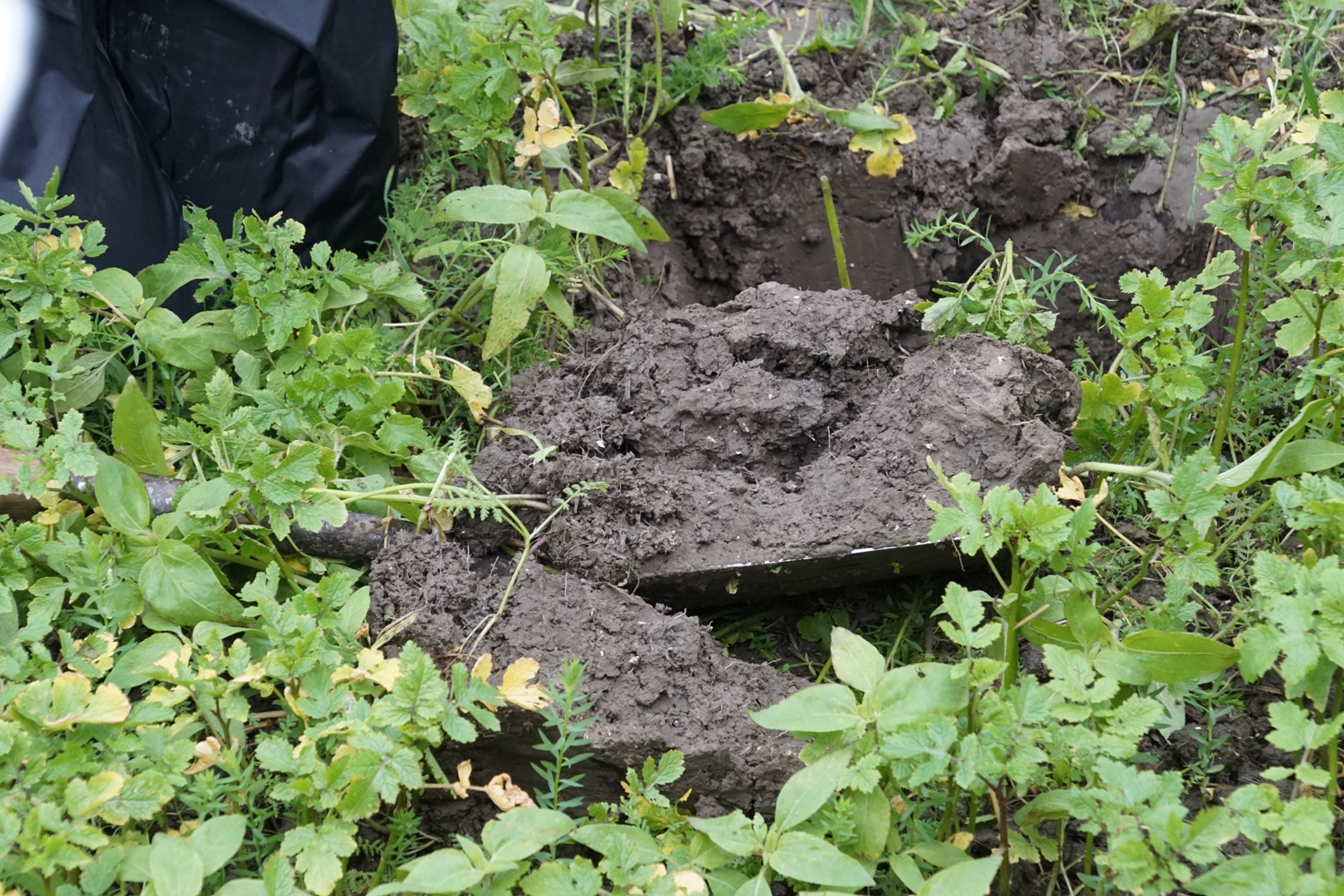 Topbodem › Fotoserie: Herfstexcursie TopBodem bezoekt grote proef ...