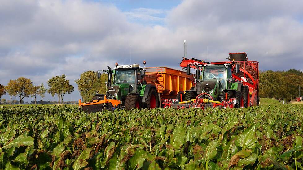 Bieten rooien verloopt moeizaam | Akkerwijzer.nl - Nieuws en kennis ...