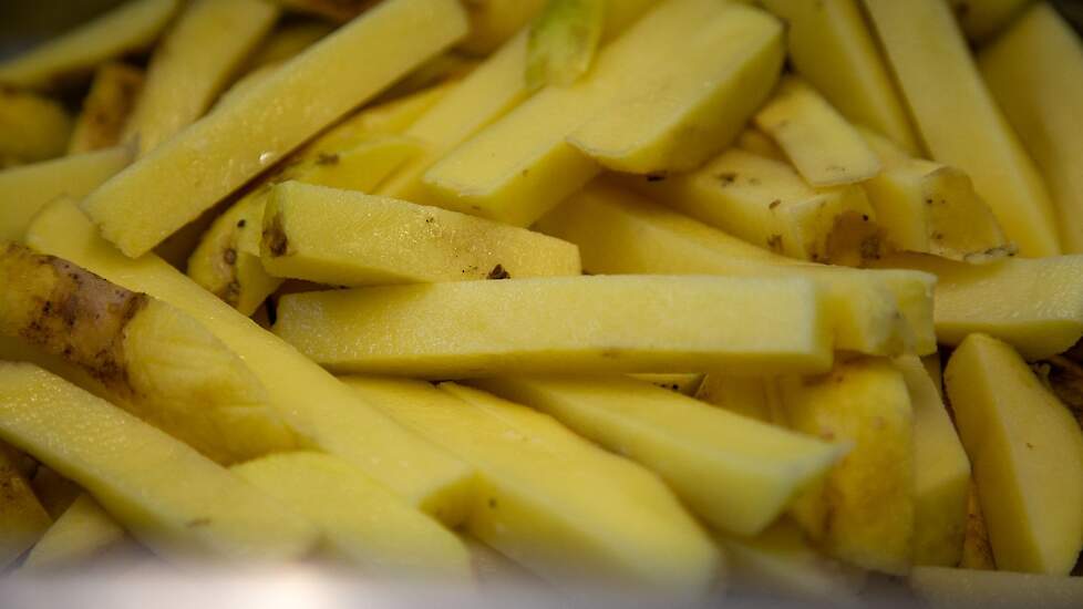 Clarebout Potatoes opent in Duinkerken frietfabriek met 1500 ton ...
