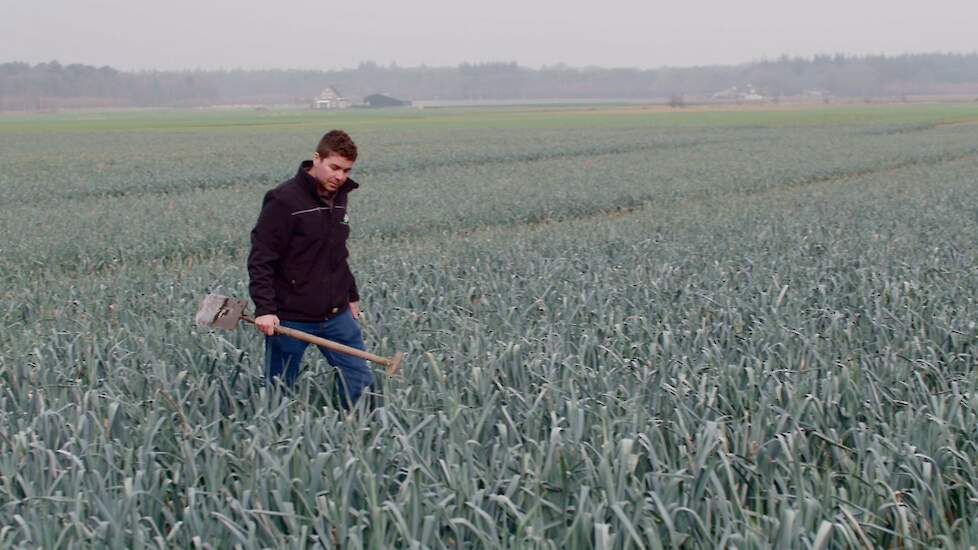 Deltaplan Agrarisch Waterbeheer › De kortschildkever helpt preiteler ...