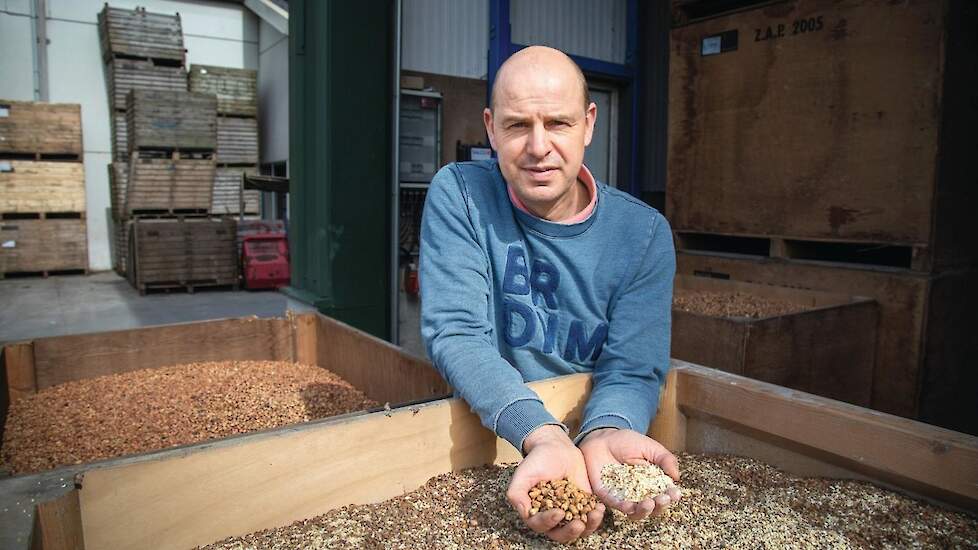 ‘Veldboon lastig gewas, maar we gaan ervoor’ | Akkerwijzer.nl - Nieuws ...