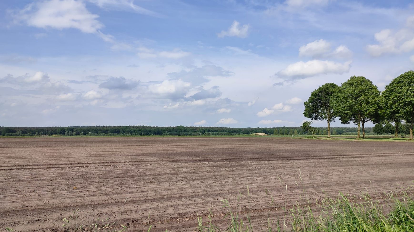 DSV zaden › Fotoserie: Oplossingen voor structuurproblemen op het ...