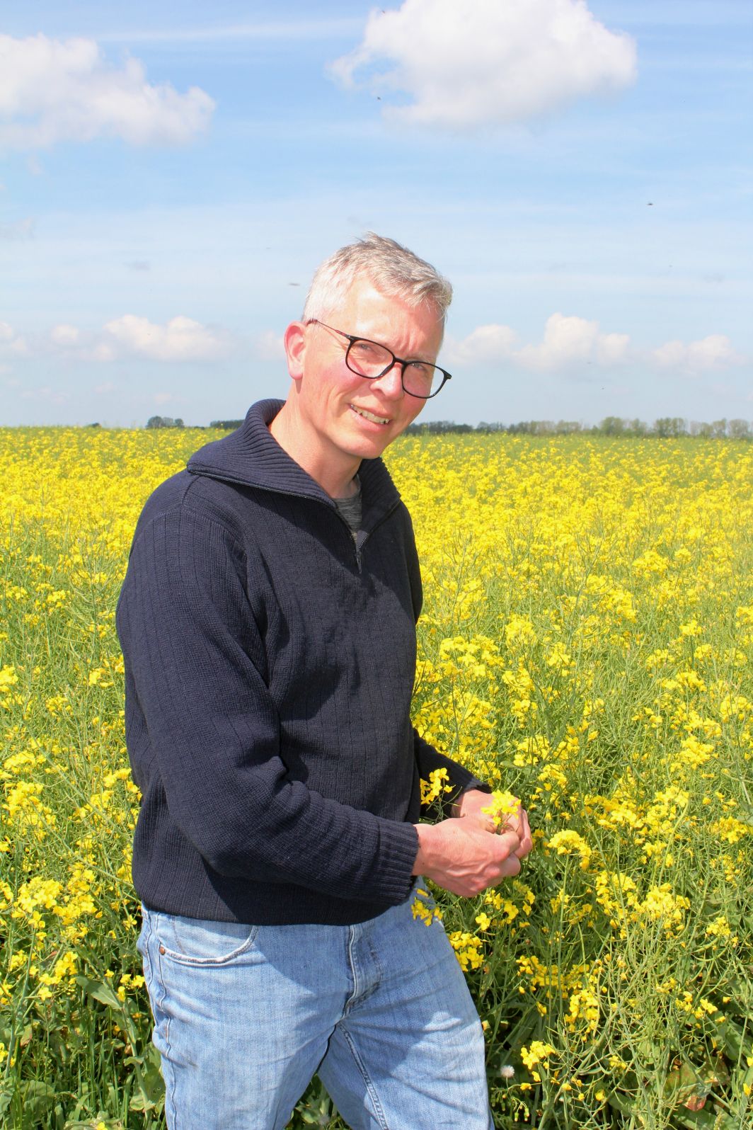 Limagrain › Koolzaad verbetert de bodem en helpt tegen duist ...