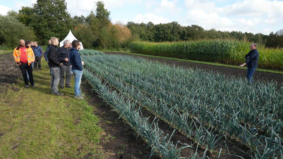 Topbodem › Goede bemesting om gewas korter in de kwetsbare fase te ...