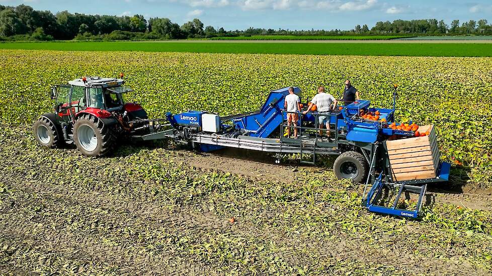 Video: Machinaal pompoenen oogsten biedt kansen | Akkerwijzer.nl - Nieuws en kennis voor de ...