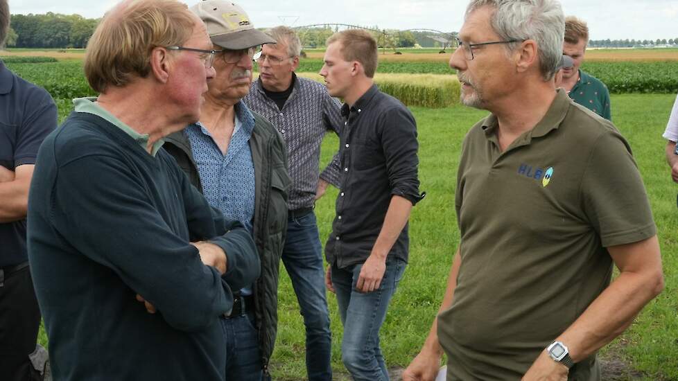 Topbodem › Schepel (HLB): ‘Meeste aaltjes goed onder controle, maar AM ...