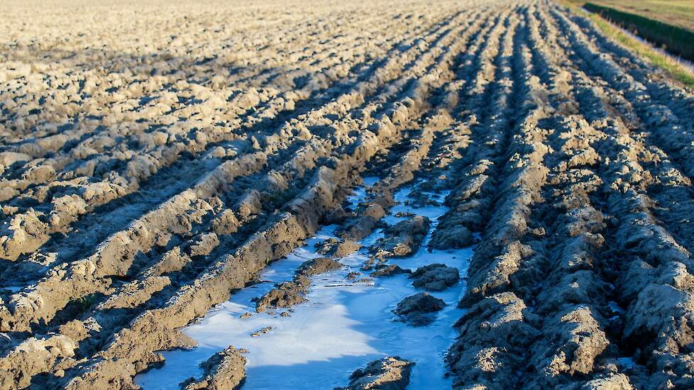 Topbodem › Is vorst een wondermiddel? Het 'Elfstedentocht-cliché ...