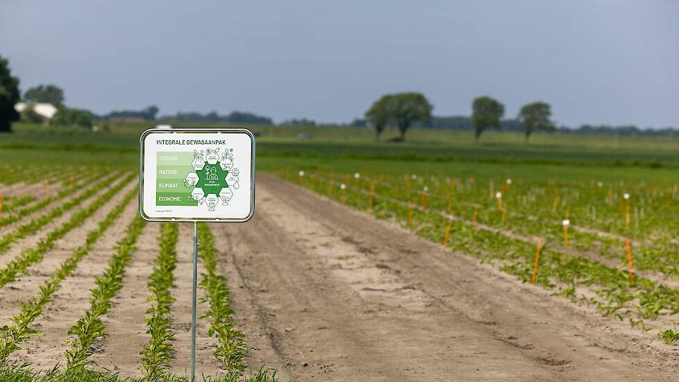 Wiersma: ‘Inzet blijft om afhankelijkheid en gebruik chemie te ...