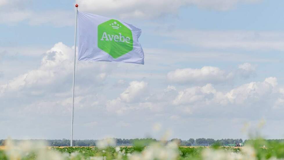 Avebe stelt campagneprijs 2024 vast op 115 euro per ton | Akkerwijzer ...