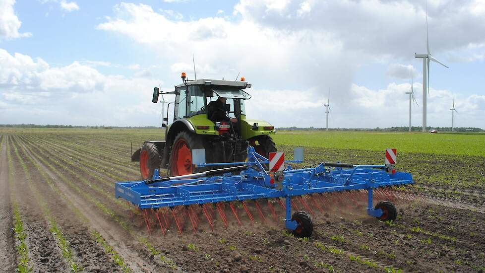 Topgewas › Onkruidbeheer met minder chemie kan met een integrale aanpak ...