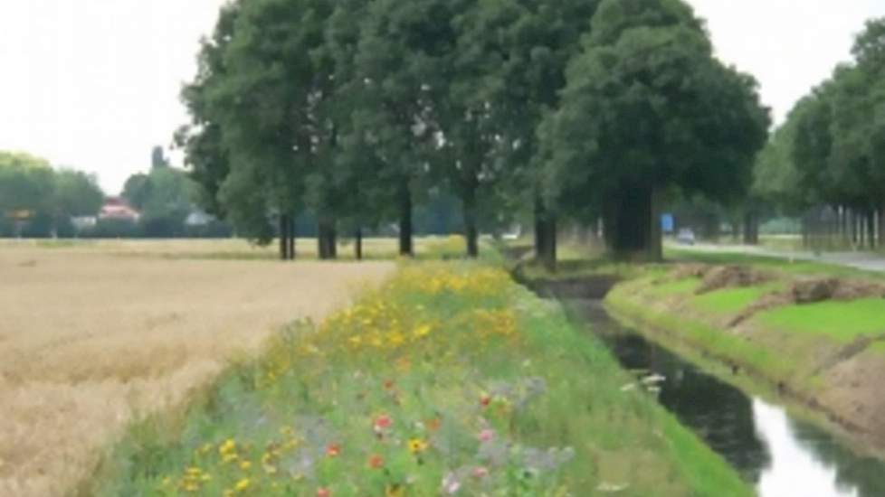 Extra nVWA-controle op gebruik gewasbeschermingsmiddelen | Akkerwijzer ...